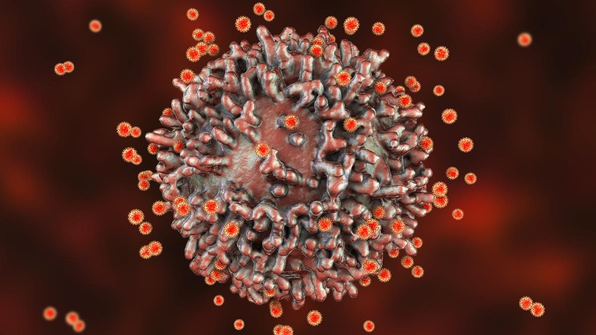 Ómicron: los gráficos que muestran las 5 variantes de SARS-CoV-2 que la ... Ómicron: los gráficos que muestran las 5 variantes de SARS-CoV-2 que la ...